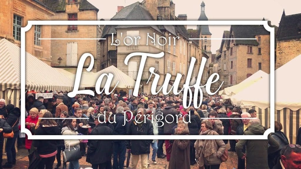 Périgord Truffle Festival: A Truffle Hunter's Paradise!